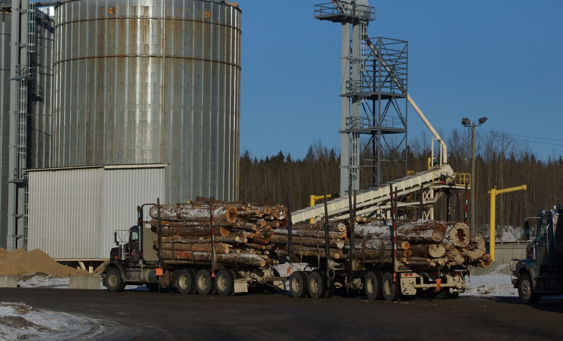 "Sustainable biomass"— A paper tiger when it comes to reducing carbon ...